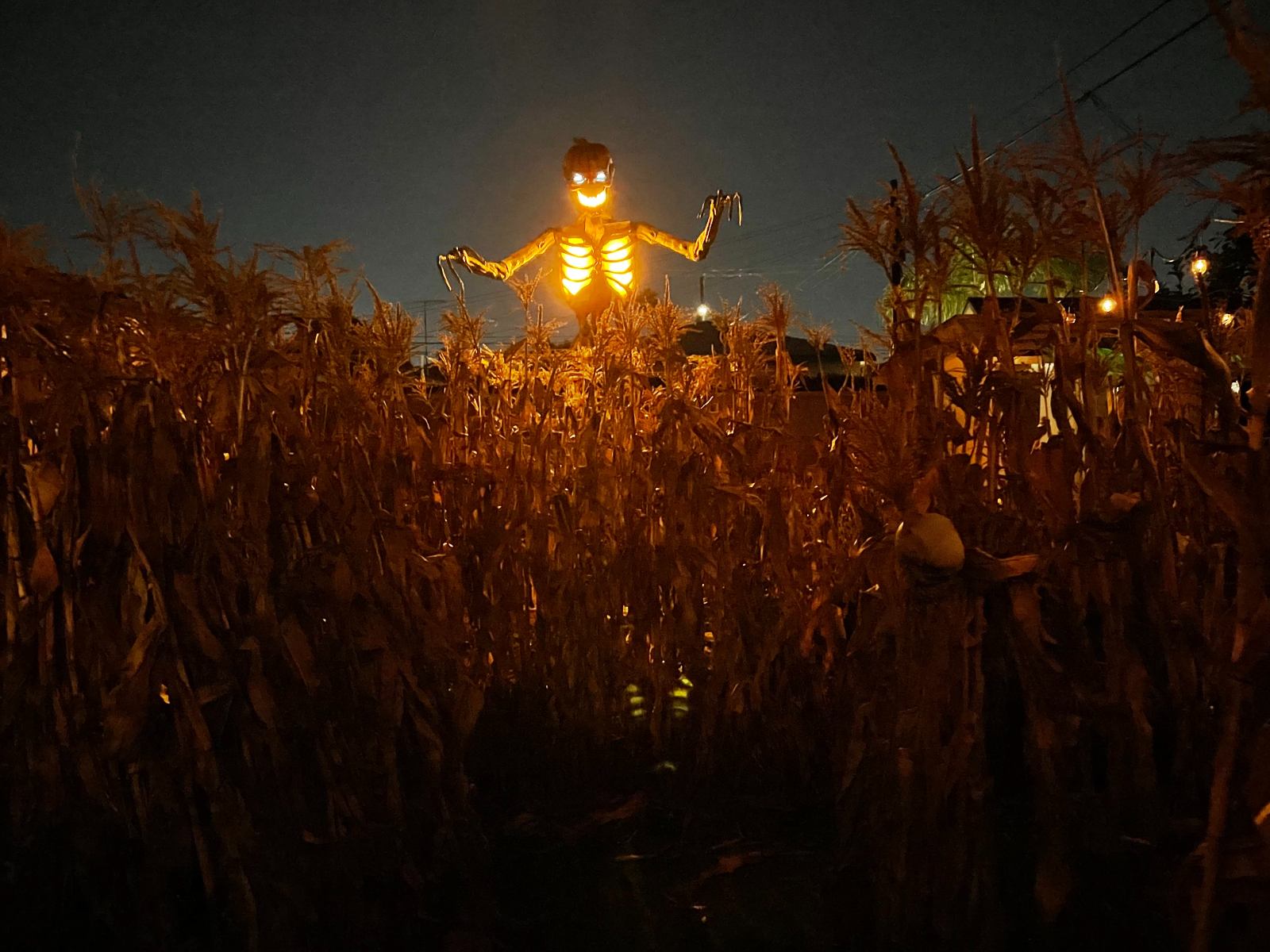 Elm Street Productions Thrills With Their Inaugural Haunt Bram Castle